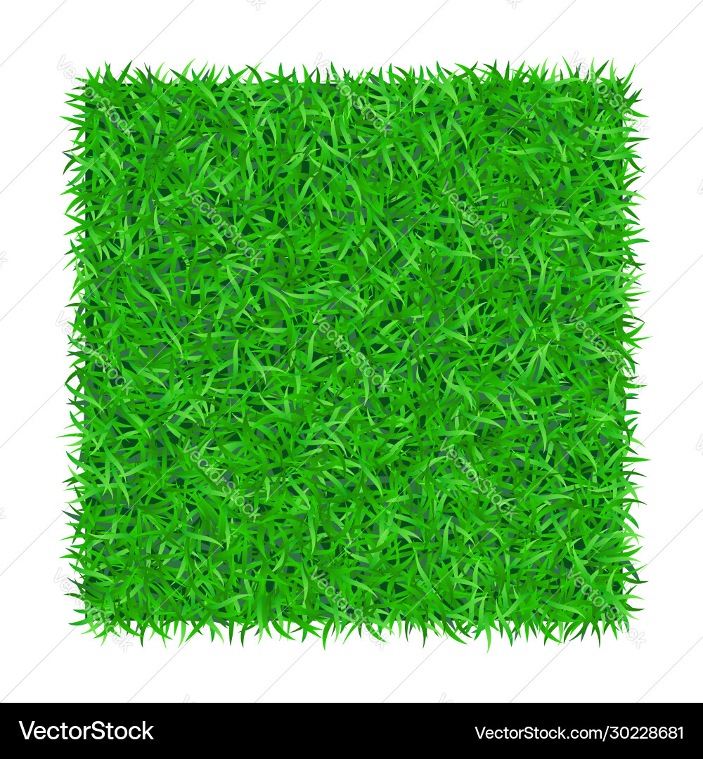 Green grass square isolated on white background 3d