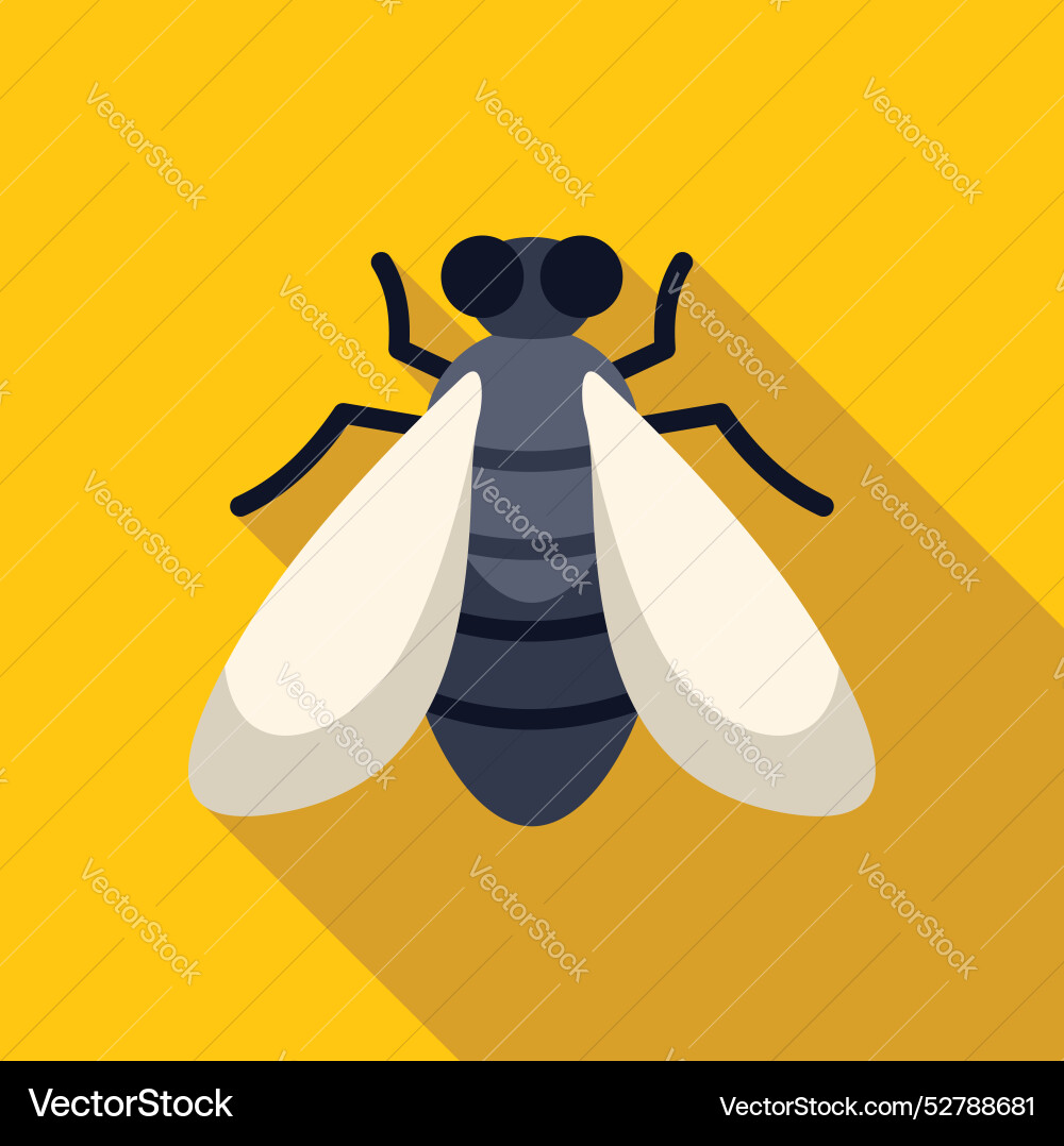House fly insect spreading germs and diseases Vector Image