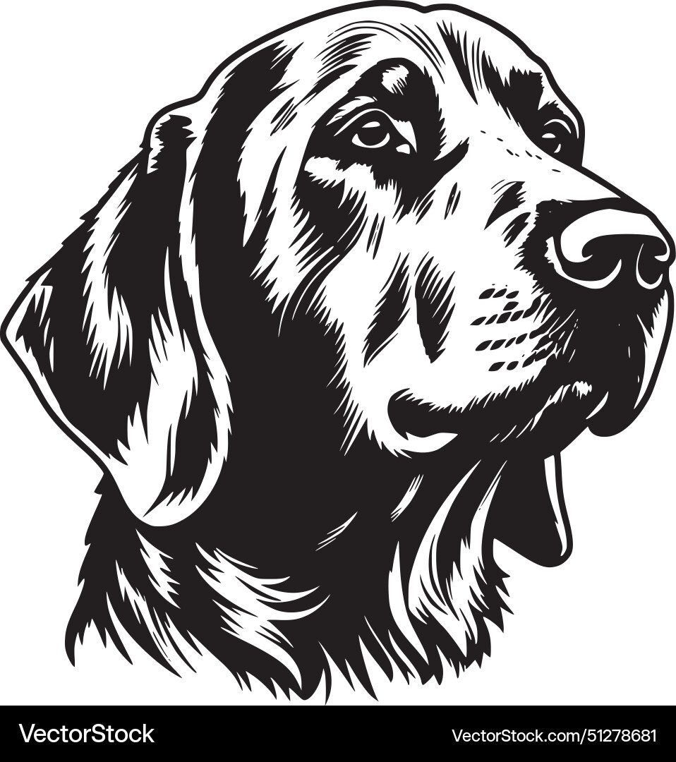 Labrador retriever - minimalist and flat logo Vector Image