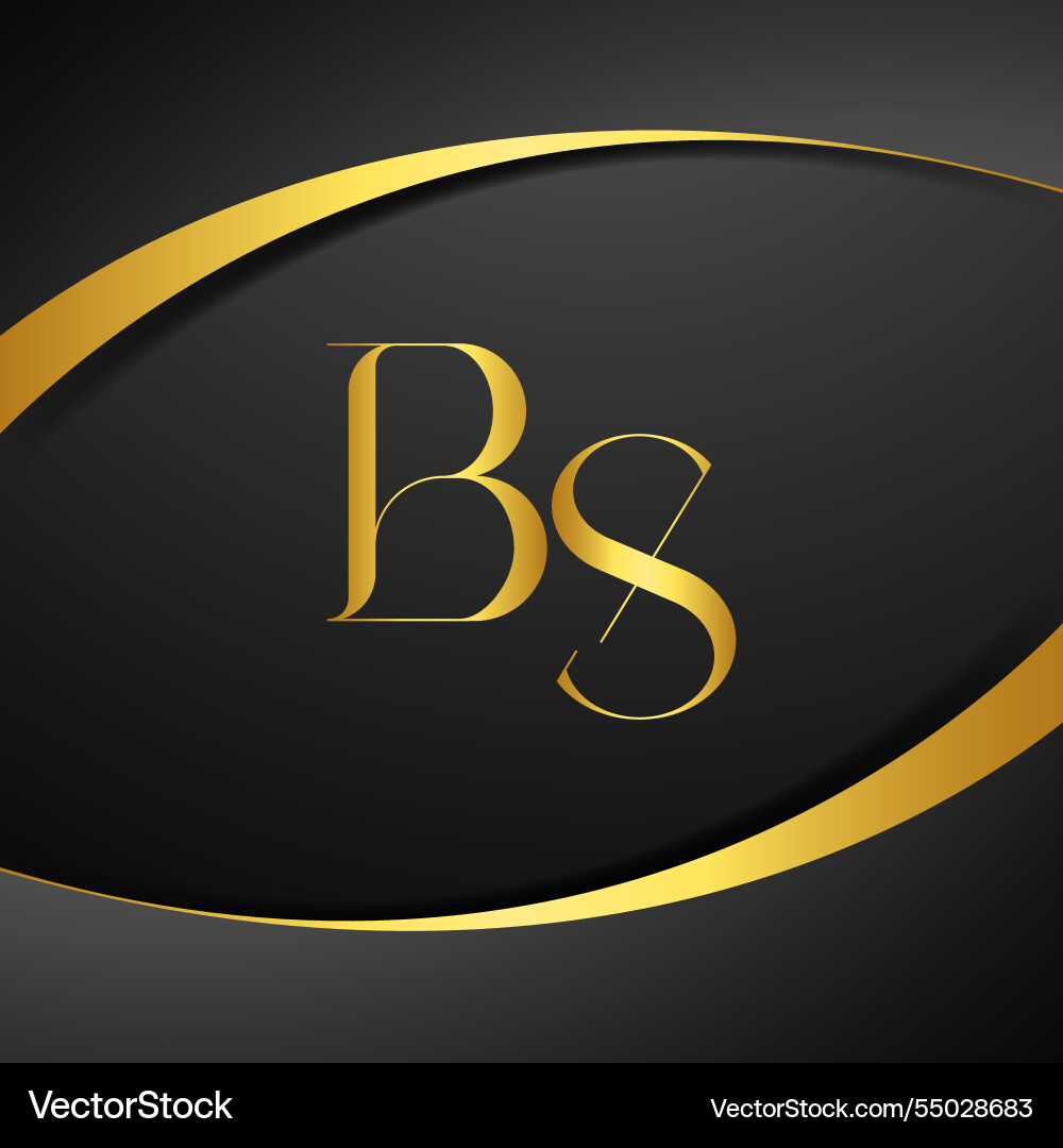 Bs luxury letter logo Royalty Free Vector Image