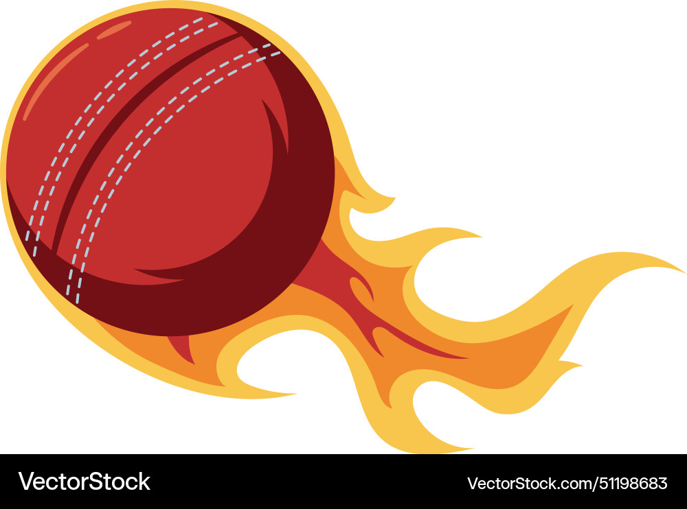 Cricket fire ball Royalty Free Vector Image - VectorStock