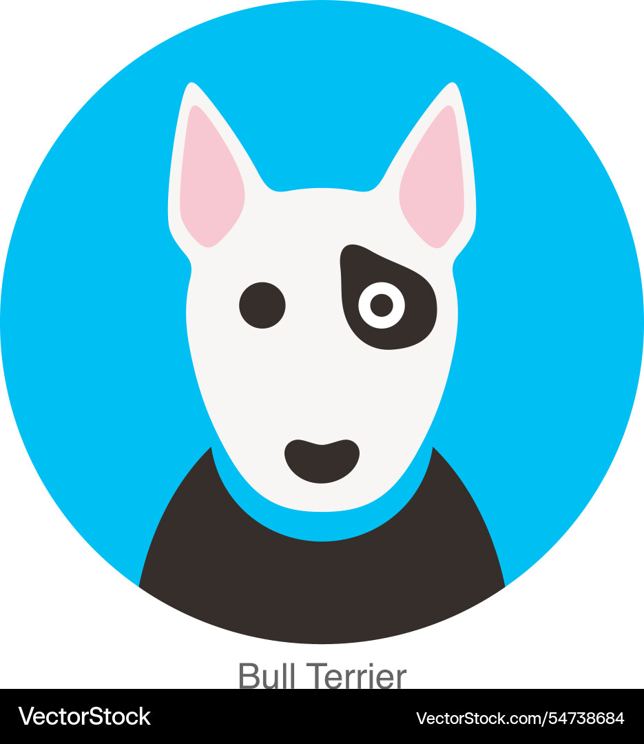 Bull terrier dog face flat icon series Royalty Free Vector