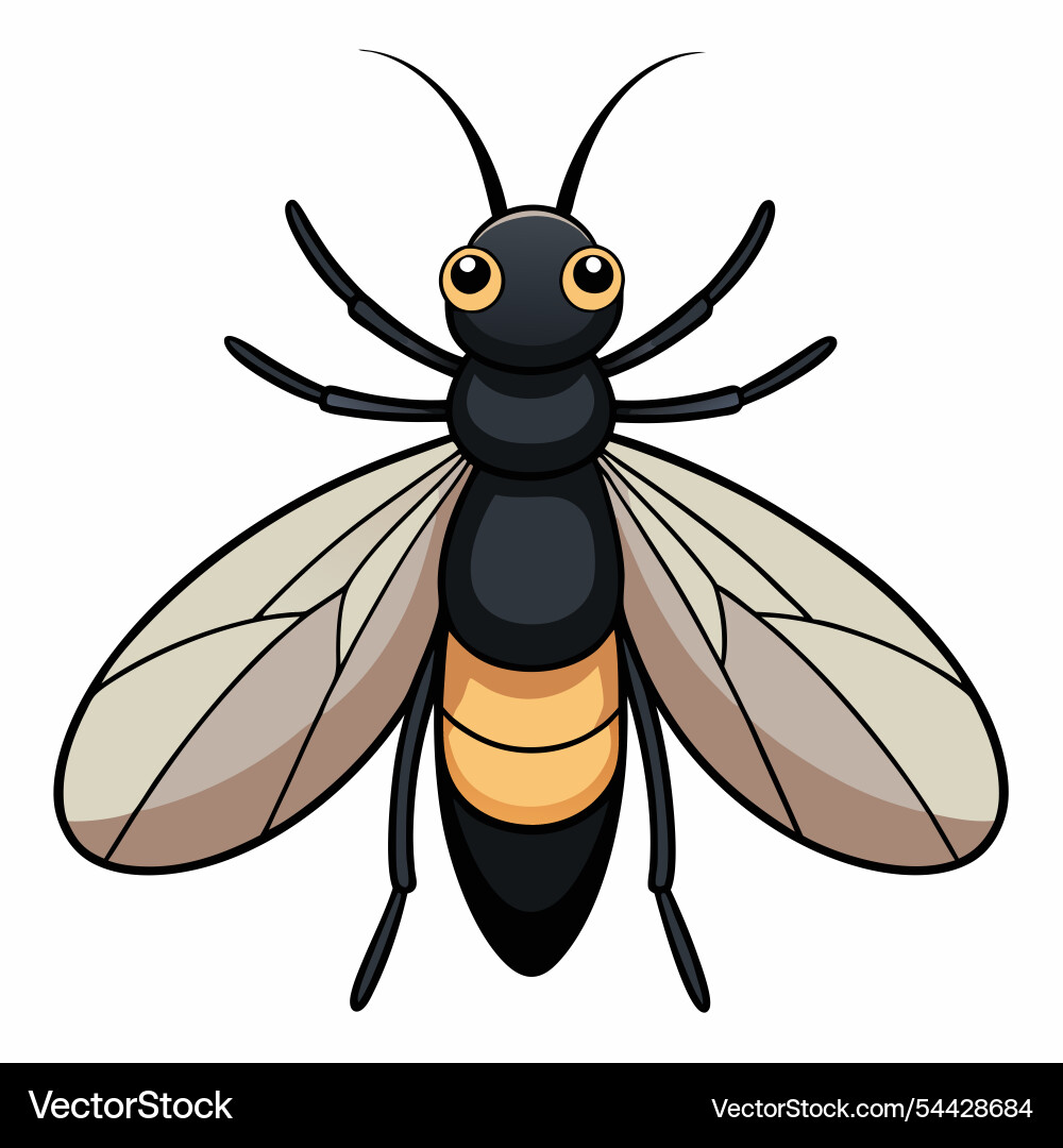 Firefly insect flat on white background Royalty Free Vector