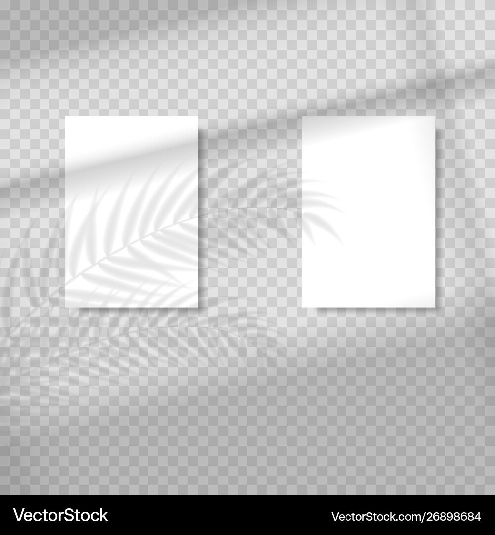 Transparent shadow overlay effects for branding Vector Image