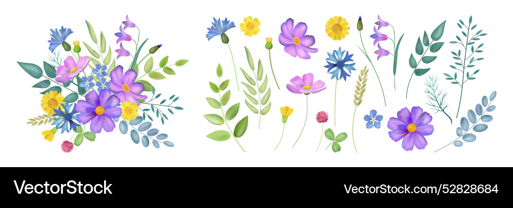 Watercolor Floral Spring Elements Royalty Free Vector Image