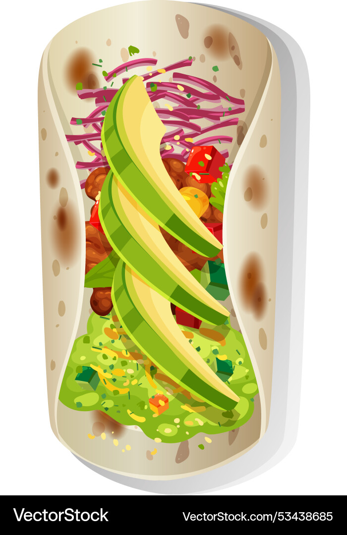 A vibrant detailed mexican burrito Royalty Free Vector Image