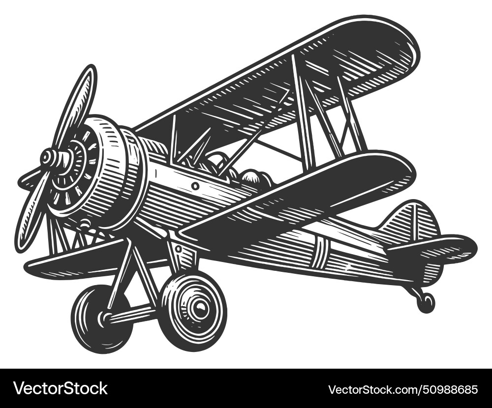 Classic biplane airplane Royalty Free Vector Image