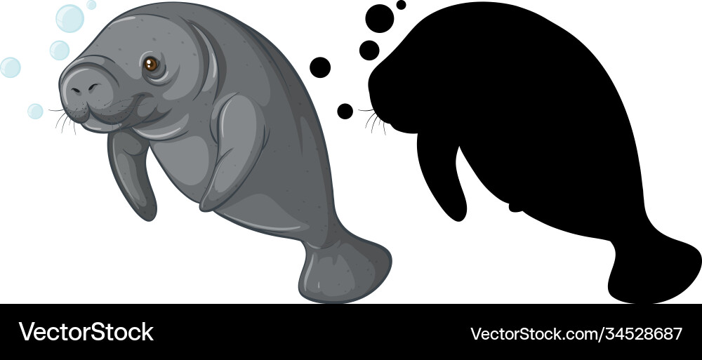 Set dugong characters and its silhouette Vector Image