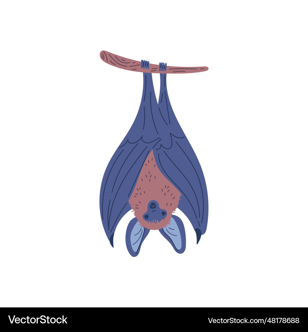 Cute bat sleeping upside down cartoon flat Vector Image