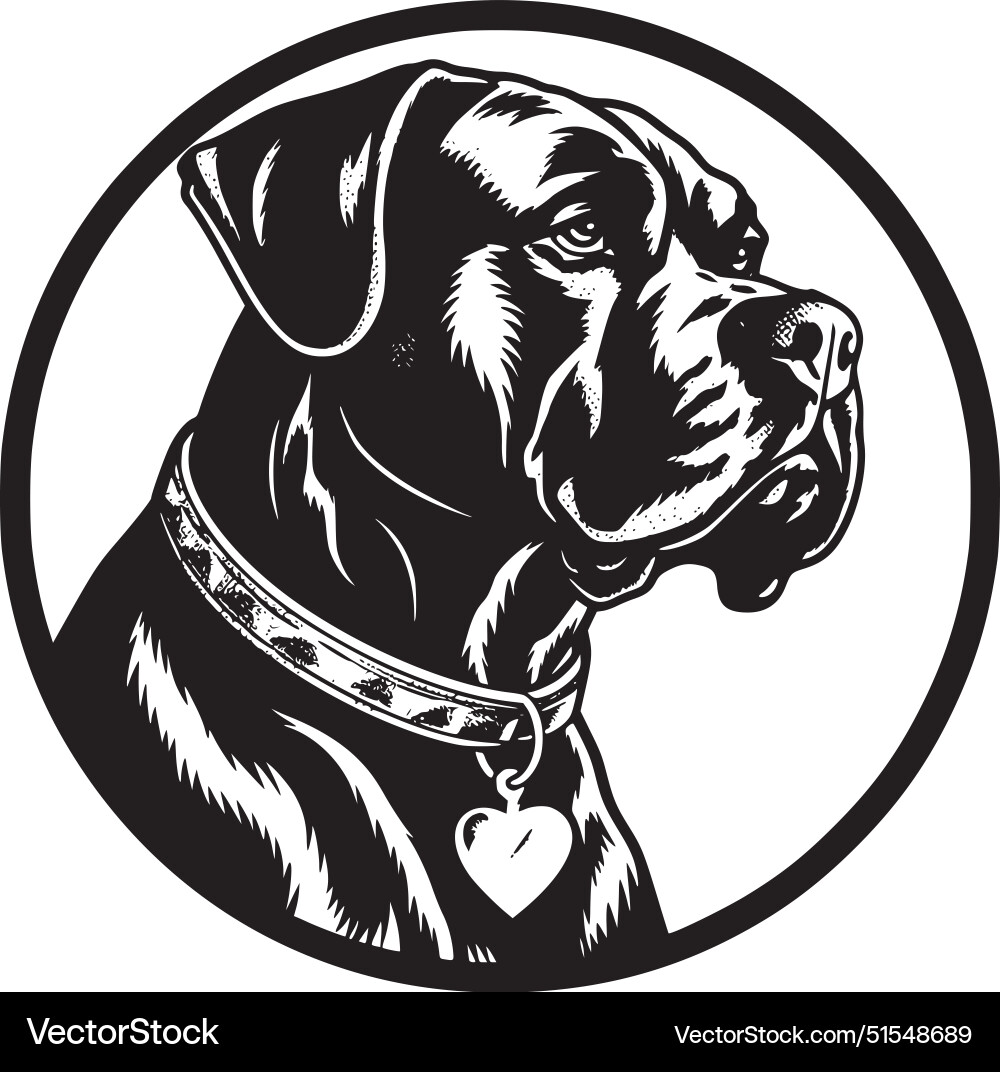 Boxer - black and white Royalty Free Vector Image
