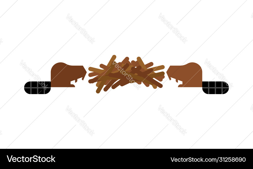 Beaver and dam semi-aquatic mammal order Vector Image