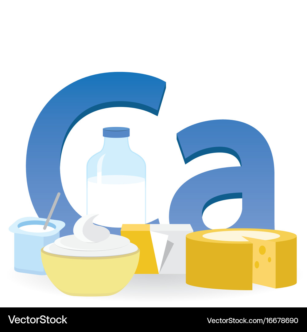 Calcium and dairy products Royalty Free Vector Image