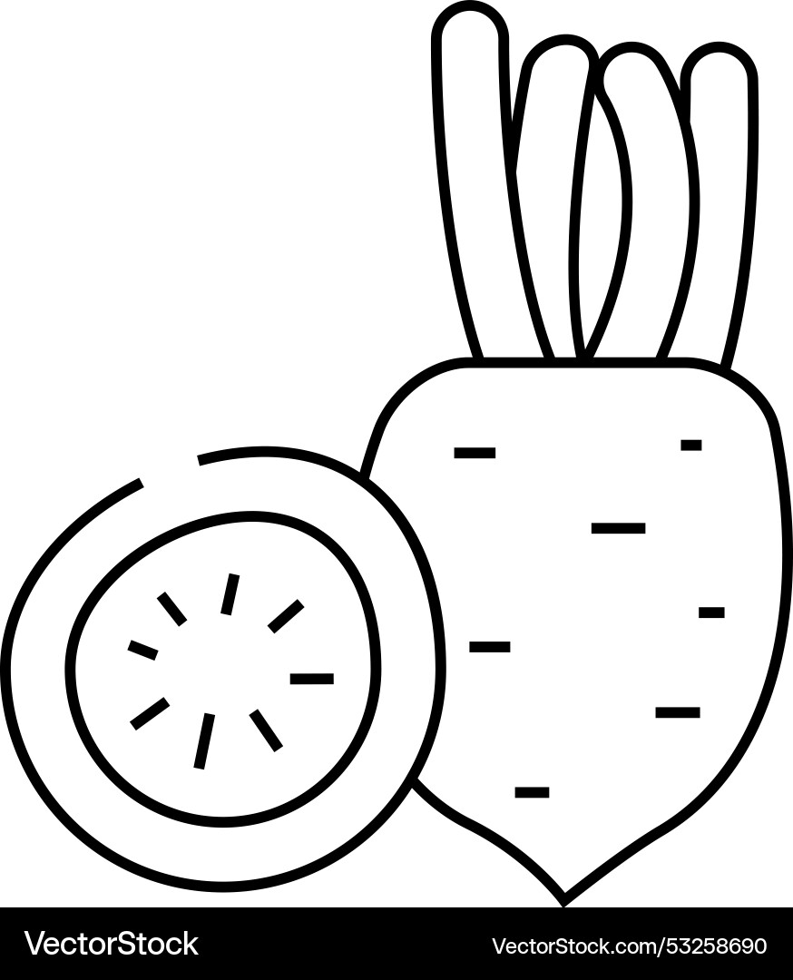 Watermelon radish line icon Royalty Free Vector Image