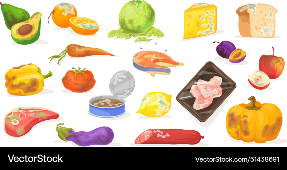 Spoiled Food Waste & Decay Royalty Free Vector Image