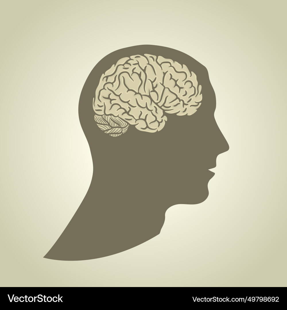 Human head with brain silhouette Royalty Free Vector Image