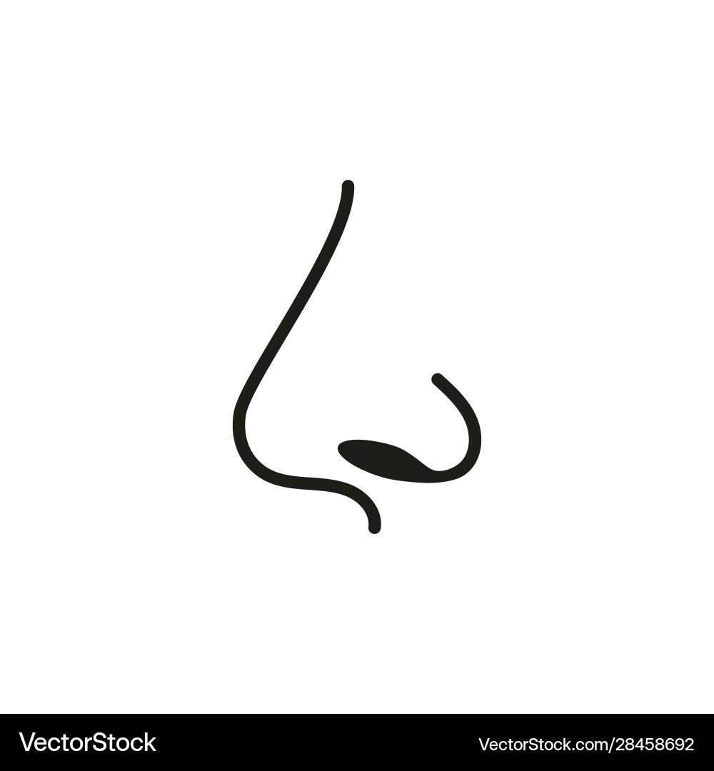 Human nose with nostrils Royalty Free Vector Image