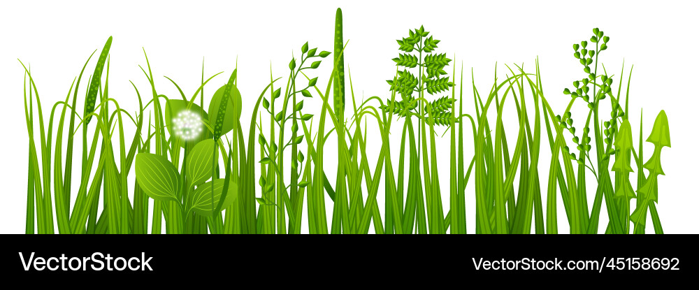 Realistic grass green spring weeds growing Vector Image