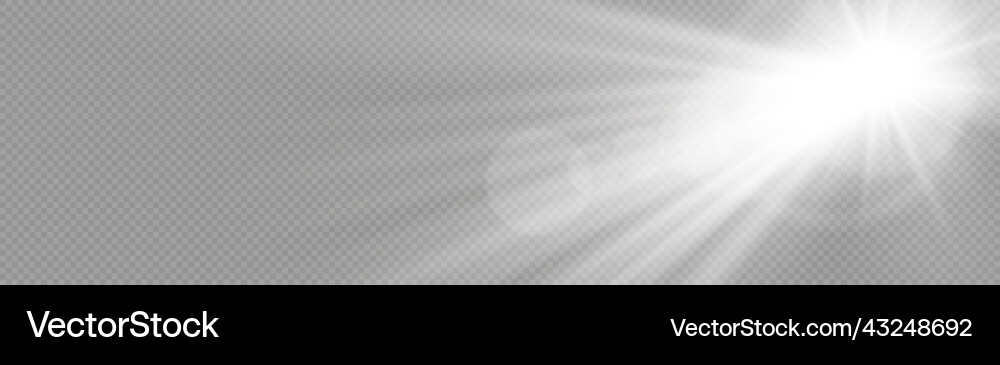Sunlight white sun glare rays lens flare bokeh Vector Image