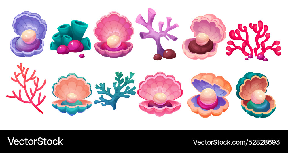 Under the sea seashell tropical shellfish Vector Image