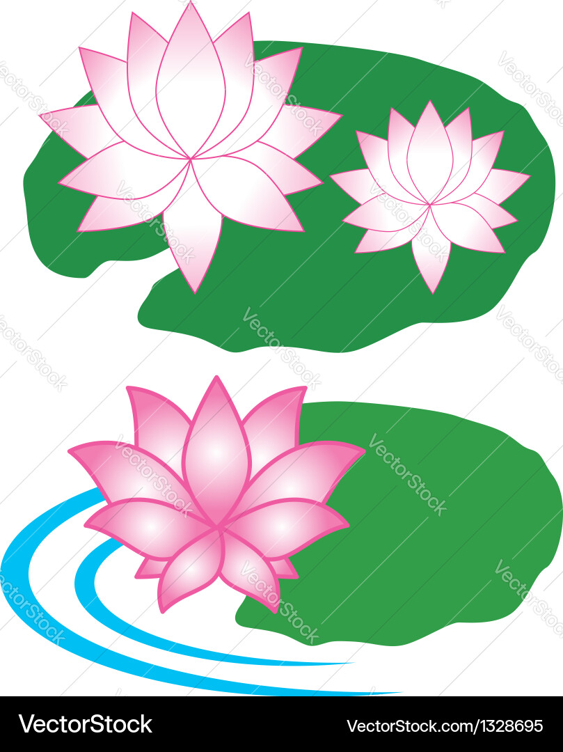 Lotus Royalty Free Vector Image - VectorStock