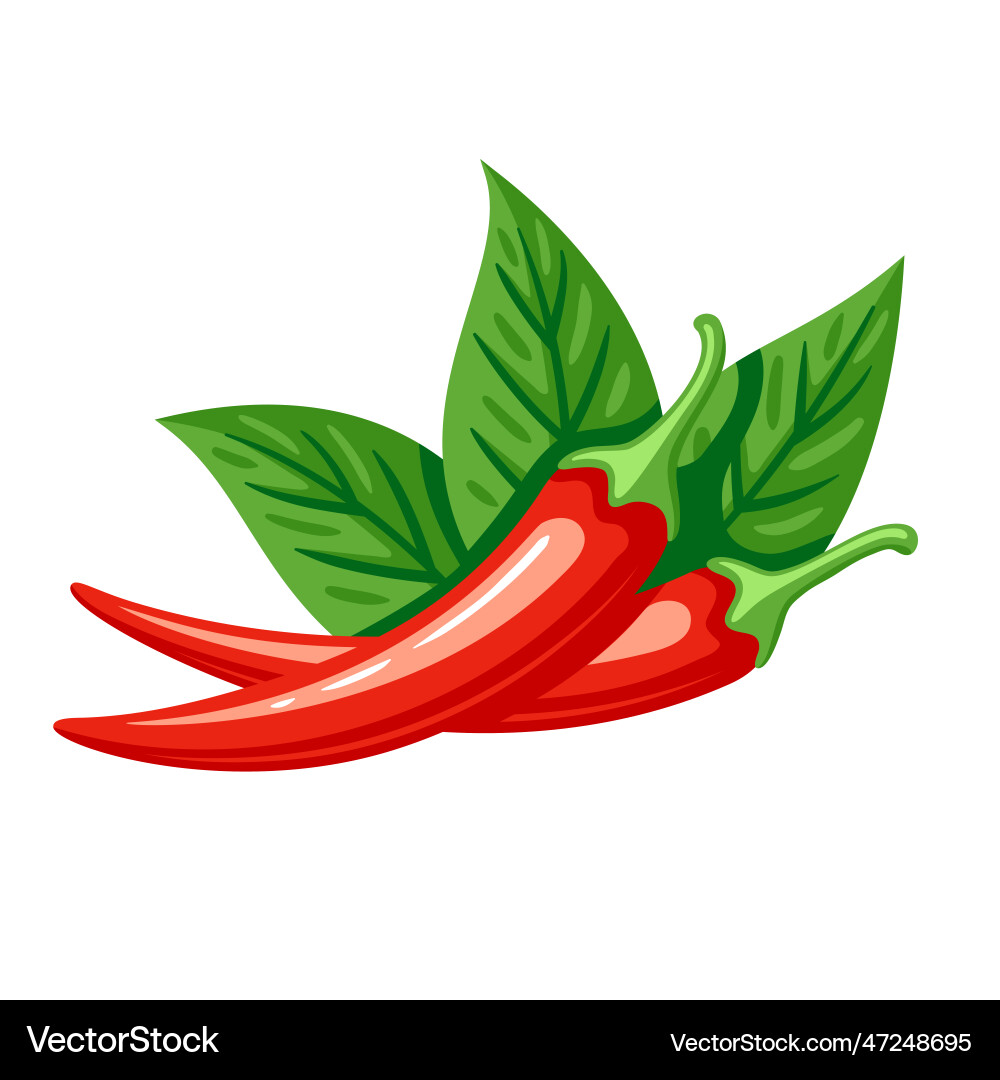 Red chili pepper in cartoon style Royalty Free Vector Image