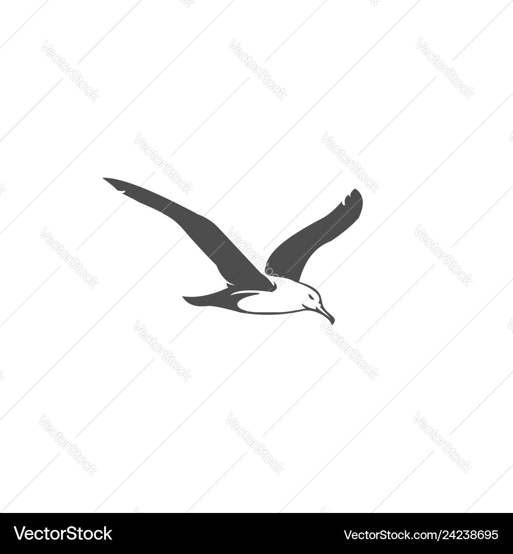 Seagull Royalty Free Vector Image - VectorStock