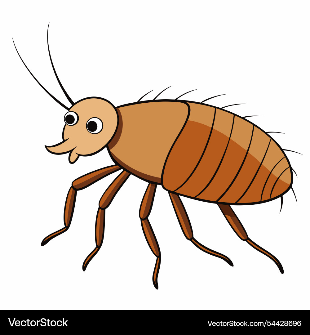 Flea insect flat on white background Royalty Free Vector