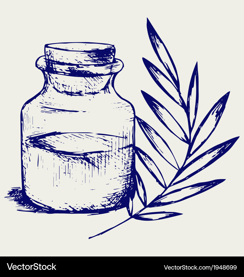 Fragrance Oil Doodle Royalty Free Vector Image