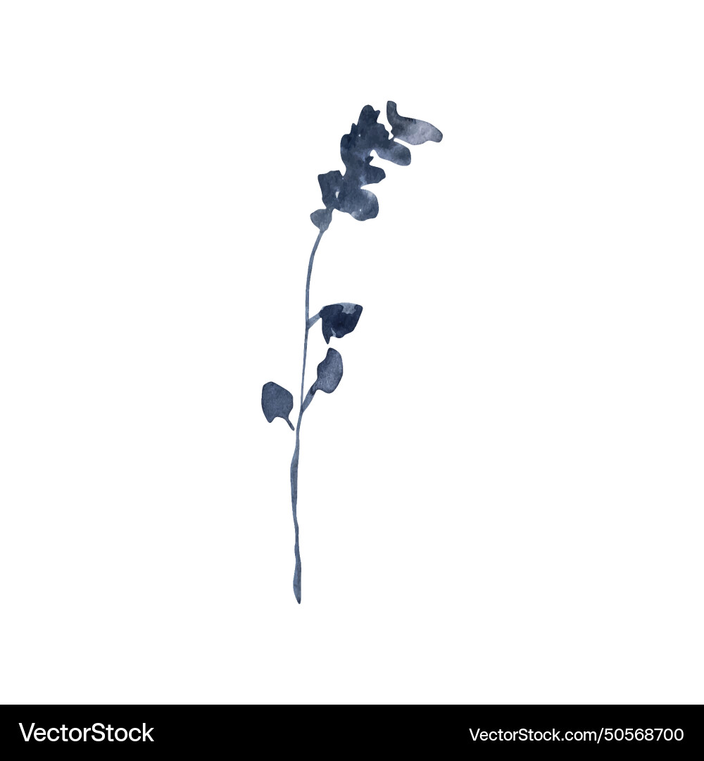 Dark blue watercolor branch with leaves Royalty Free Vector