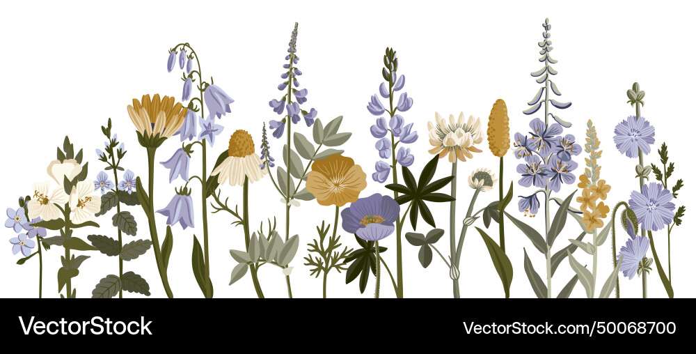 Wildflower Border Royalty Free Vector Image - VectorStock