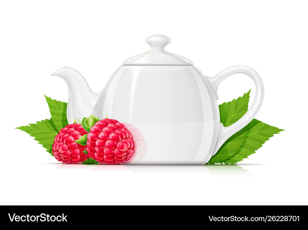 Fresh Raspberry Tea Royalty Free Vector Image - VectorStock