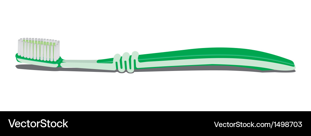 Toothbrush Royalty Free Vector Image - VectorStock