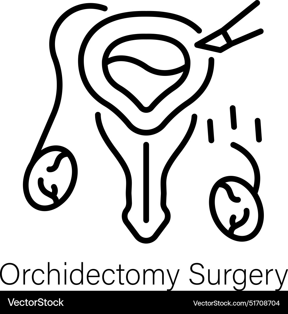 Orchidectomy surgery Royalty Free Vector Image