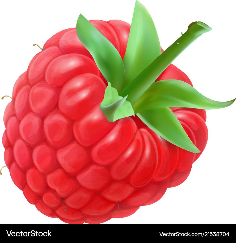 Raspberry realistic icon Royalty Free Vector Image