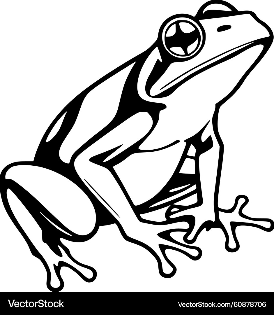 Green Tree Frog Silhouette – Royalty-Free Vector | VectorStock