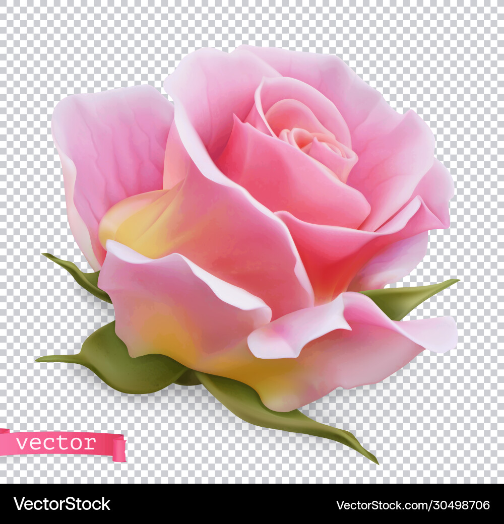 Pink rose 3d realistic object Royalty Free Vector Image