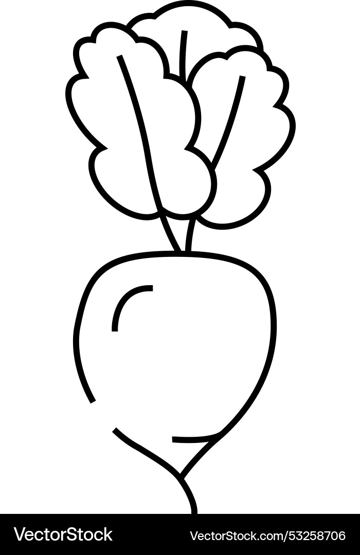 Radish ripe line icon Royalty Free Vector Image