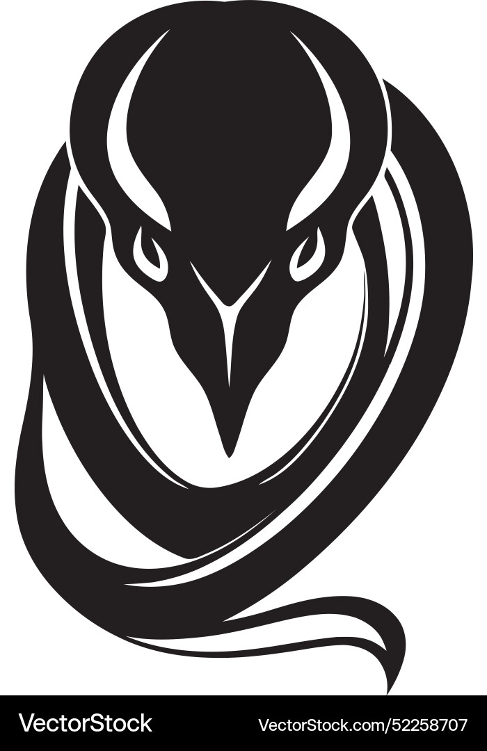 Enigmatic serpent coil noir graphicsnocturnal Vector Image