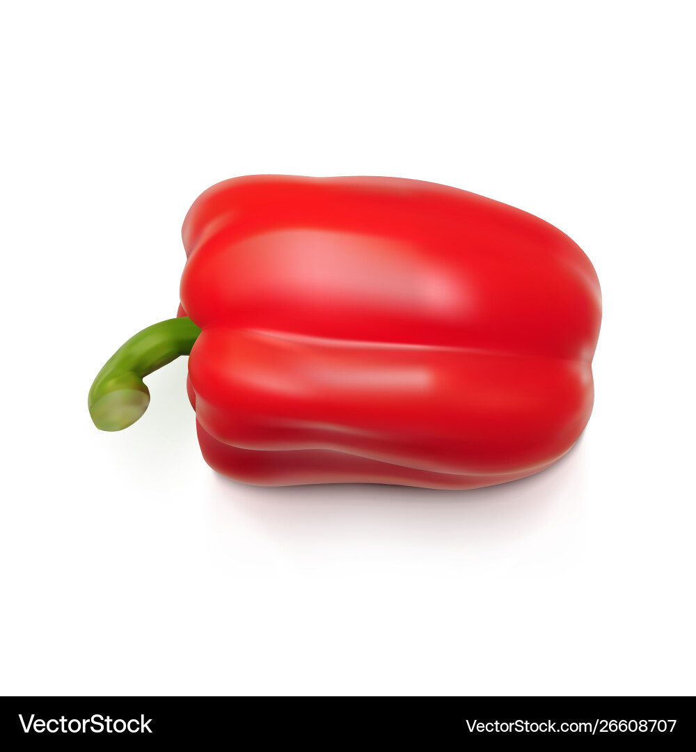 Realistic three fresh red bell pepper isolated Vector Image