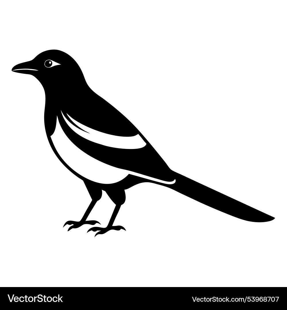 Simple magpie silhouette logo icon Royalty Free Vector Image