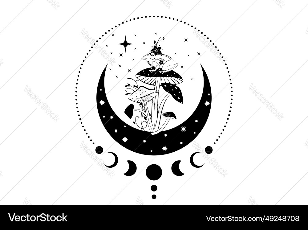 Celestial Moon Mushrooms - Magic Amanita Vector Image