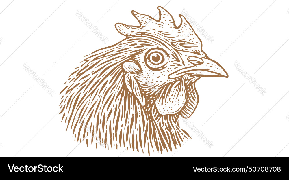 Chicken hen head vintage retro print Royalty Free Vector