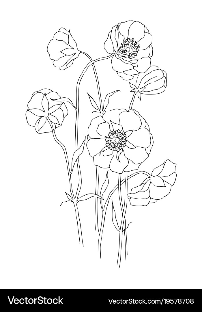 Vintage botanical linear flower Royalty Free Vector Image