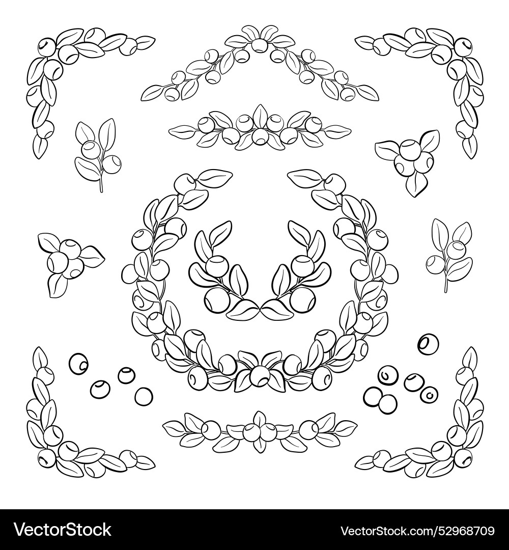 Blueberry graphic design element set outline Vector Image