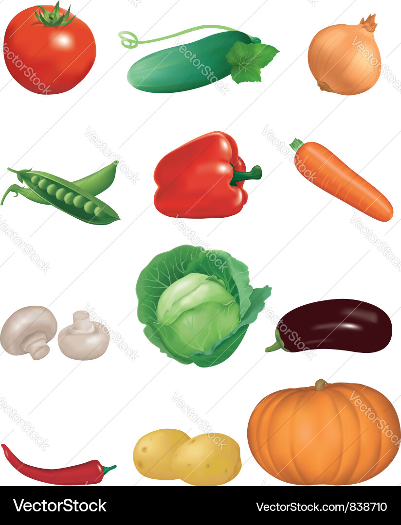Collection of vegetables Royalty Free Vector Image
