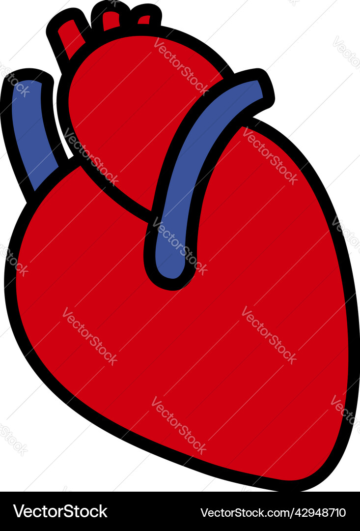 Human heart icon Royalty Free Vector Image - VectorStock