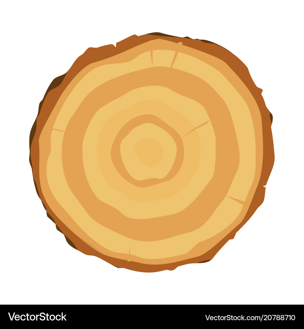 Wood circle tree rings Royalty Free Vector Image