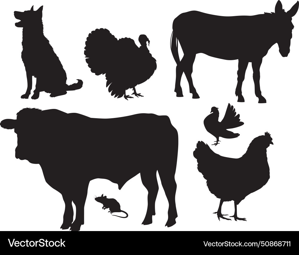Farm animals Royalty Free Vector Image - VectorStock