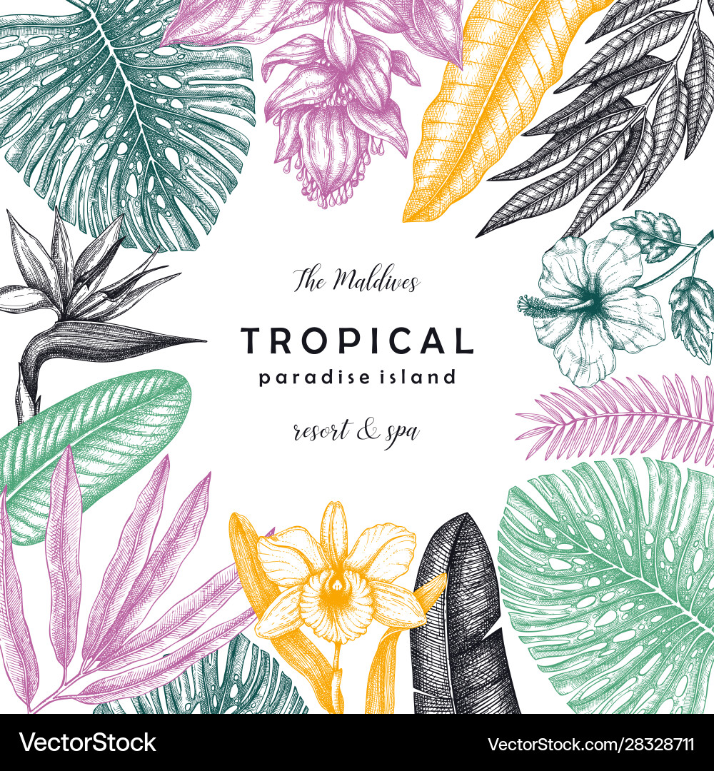 Tropical Vector Images (over 940,000)