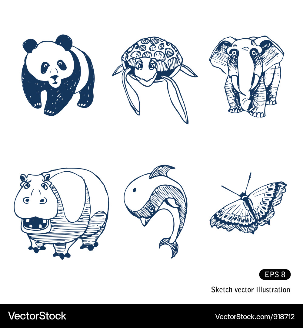 Cartoon animals Royalty Free Vector Image - VectorStock
